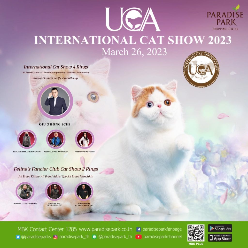 ทาสแมวเหมียวต้องมา! พาราไดซ์ พาร์ค ชวนมางานประกวดแมวสวยงาม UCA ...